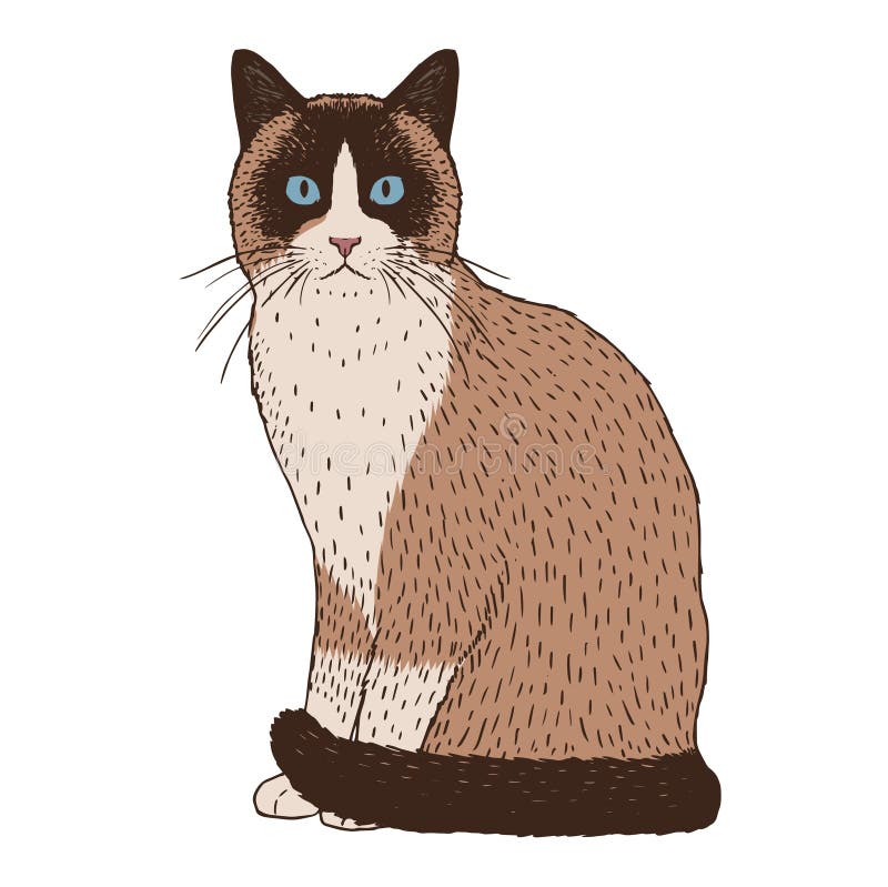 Isolated Realistic Cat Image Stock Vector - Illustration of vector ...