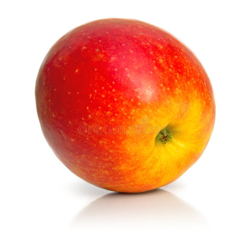 Isolated red apple stock image. Image of isolated, apple - 7192671