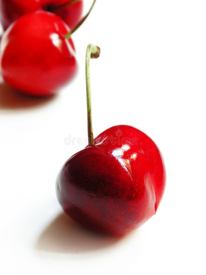 Isolated red cherries stock photo. Image of berries, close - 20084224