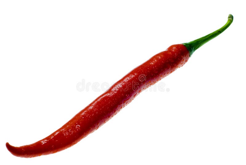 Isolated Red Chili stock photo. Image of abstract, white - 6846592