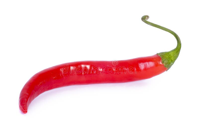 Isolated red Chilli stock photo. Image of tasty, isolated - 1611652