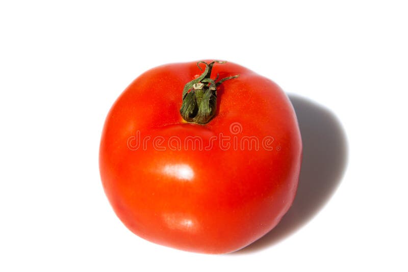 Isolated red tomato stock photo. Image of plant, nature - 65060876