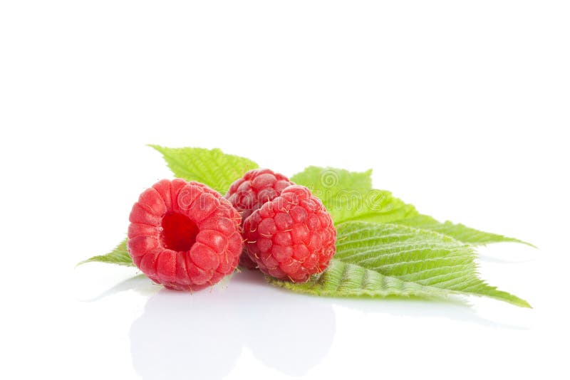 Isolated Ripe Raspberries on White Stock Photo - Image of green ...