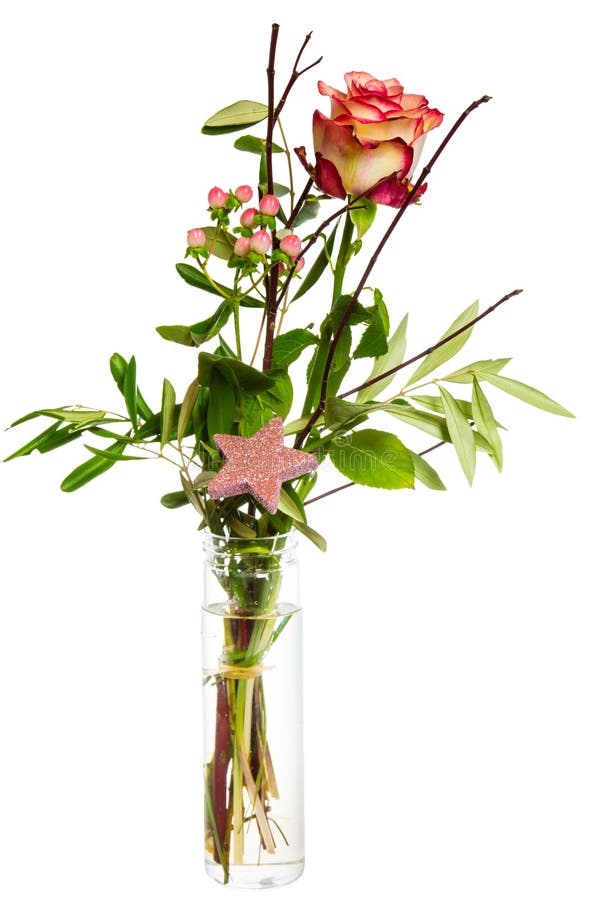 Isolated rose flower stock image. Image of gift, closeup - 119040757