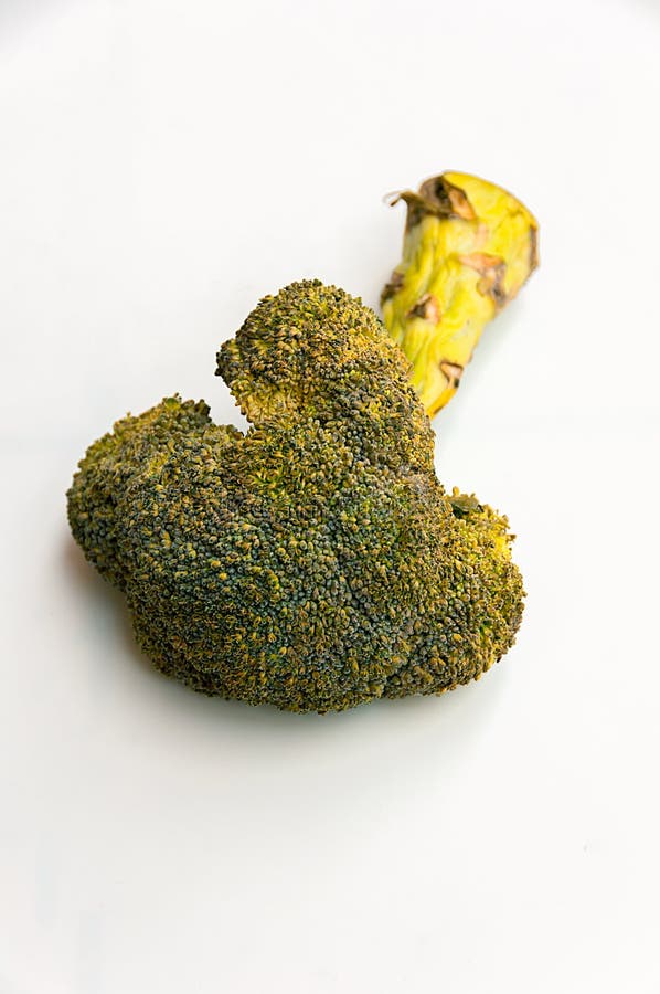 Rotten Broccoli