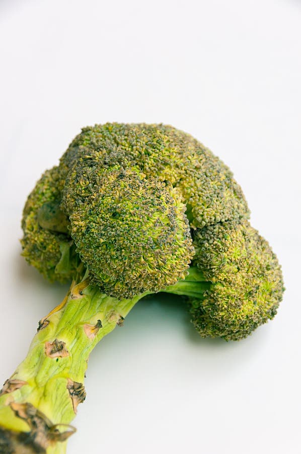 Isolated Rotten Broccoli On White Background Stock Photo - Image of ...