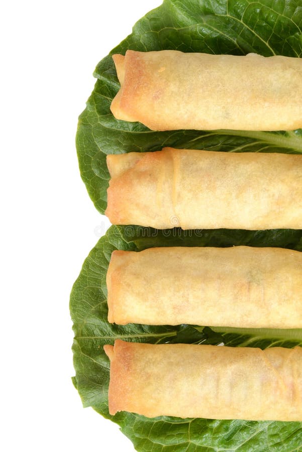 Row of spring rolls stock photo. Image of asia, roll - 30050774