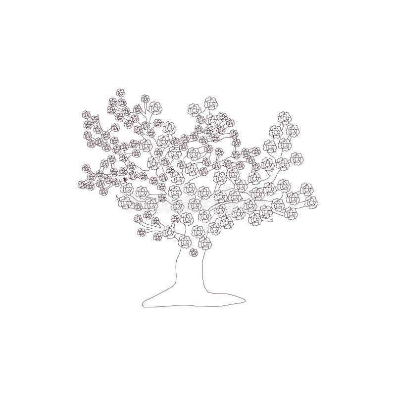 Isolated Sakura Icon Japanese Tree Stock Vector - Illustration of bloom ...
