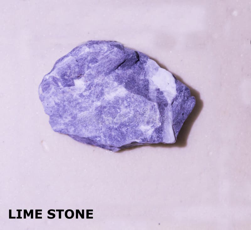 Isolated Sample of a Lime Stone Rock on Texture Background. Lime Stone ...