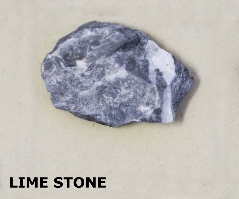 Isolated Sample of a Lime Stone Rock on Texture Background. Lime Stone ...