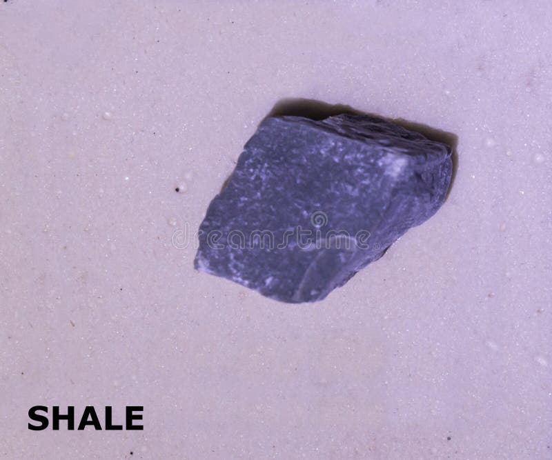Isolated Sample of a Shale Rock on Texture Background. Shale ...