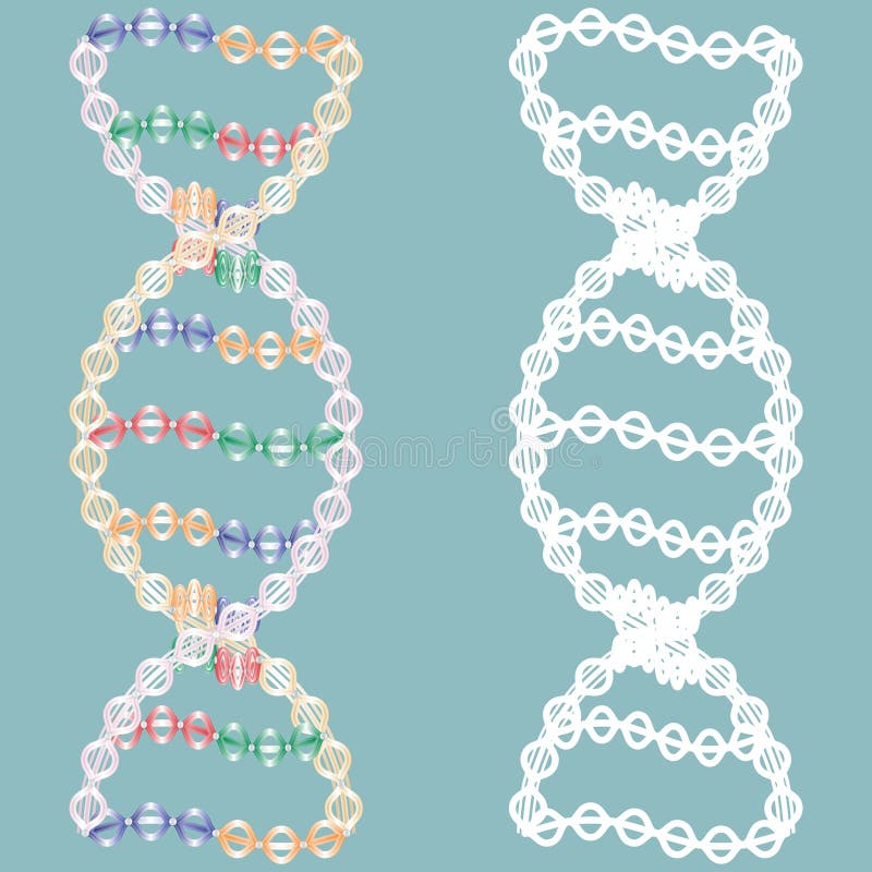 Isolated seamless DNA. stock vector. Illustration of adenine - 19110858