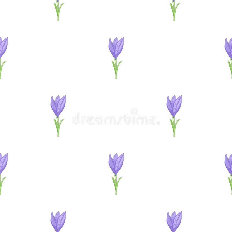Isolated Seamless Doodle Pattern with Simple Blue Outline Crocus Flower ...