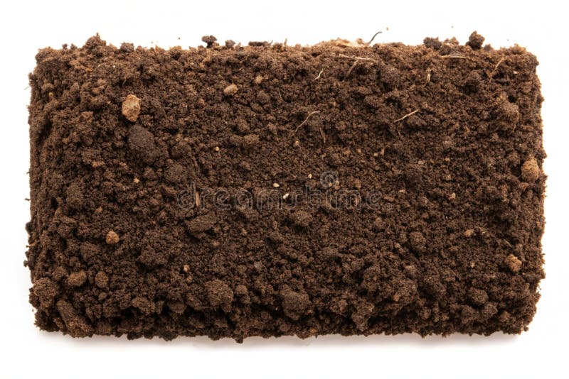 Soil Section Texture Isolated on White Stock Illustration ...