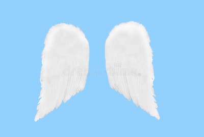 Isolated Separated Angel Wings Stock Photo - Image of portrait, white ...