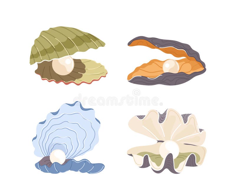 Beautiful Marine Cockleshell Pearl Stock Illustrations – 320 Beautiful ...