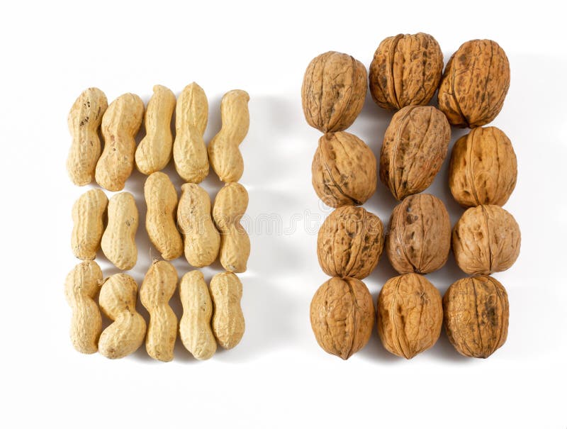 Isolated Sets of Peanuts and Walnuts Stock Image - Image of natural ...