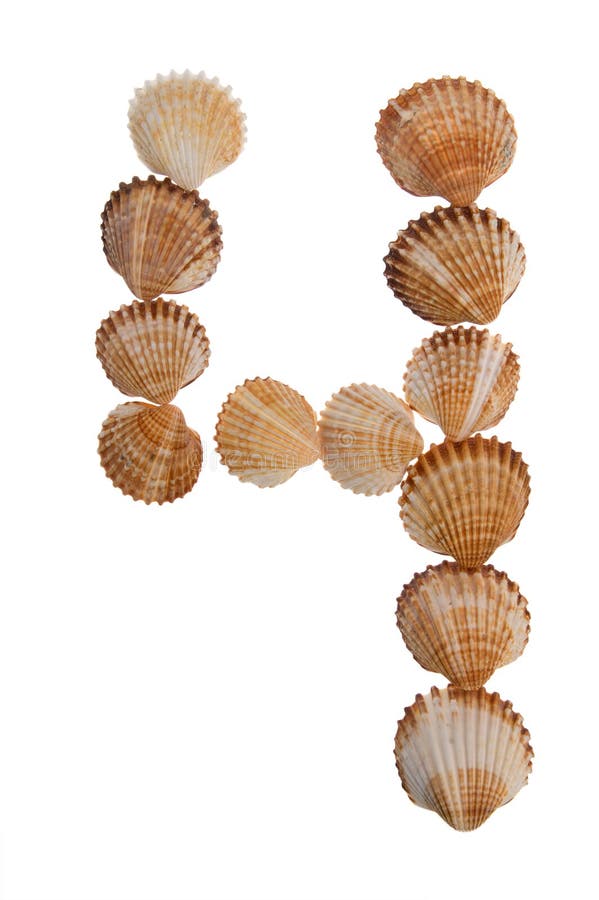 Isolated Shell Digit, Figure Stock Image - Image of fount, sign: 15468153 Isolated Shell Digit, Figure Stock Image - Image of fount, sign: 15468153