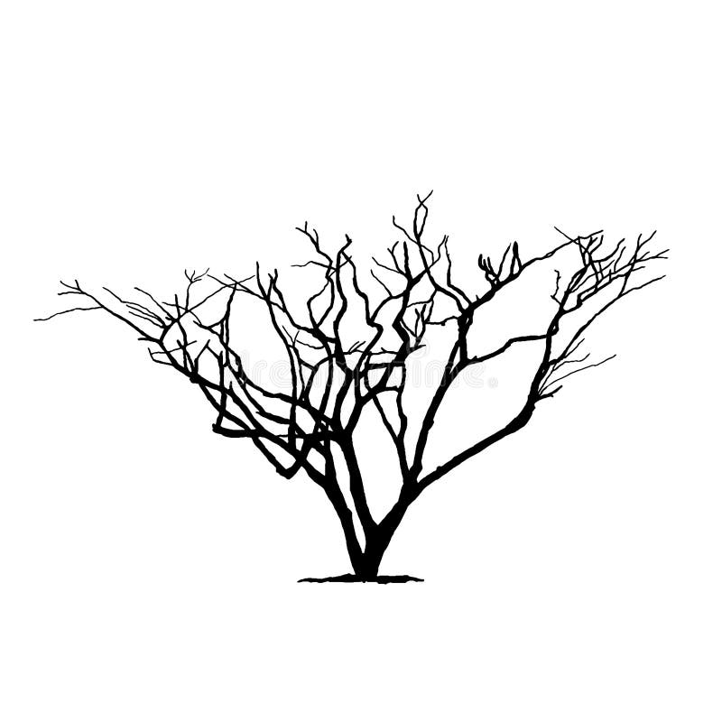 Isolated Silhouette Black Dead Tree, Natural Plant Sign, Vector Illustration Stock Vector ...