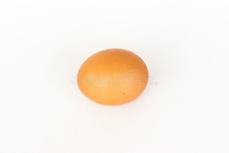 Isolated single brown egg stock image. Image of gift - 119477281