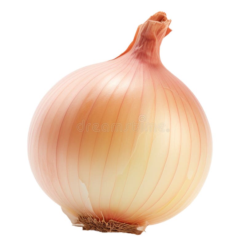 Single Onion Isolated on White Background, Culinary Ingredient Concept ...