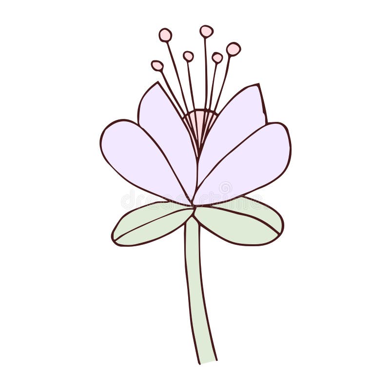 Isolated Sketch of a Flower Spring Time Vector Stock Vector ...