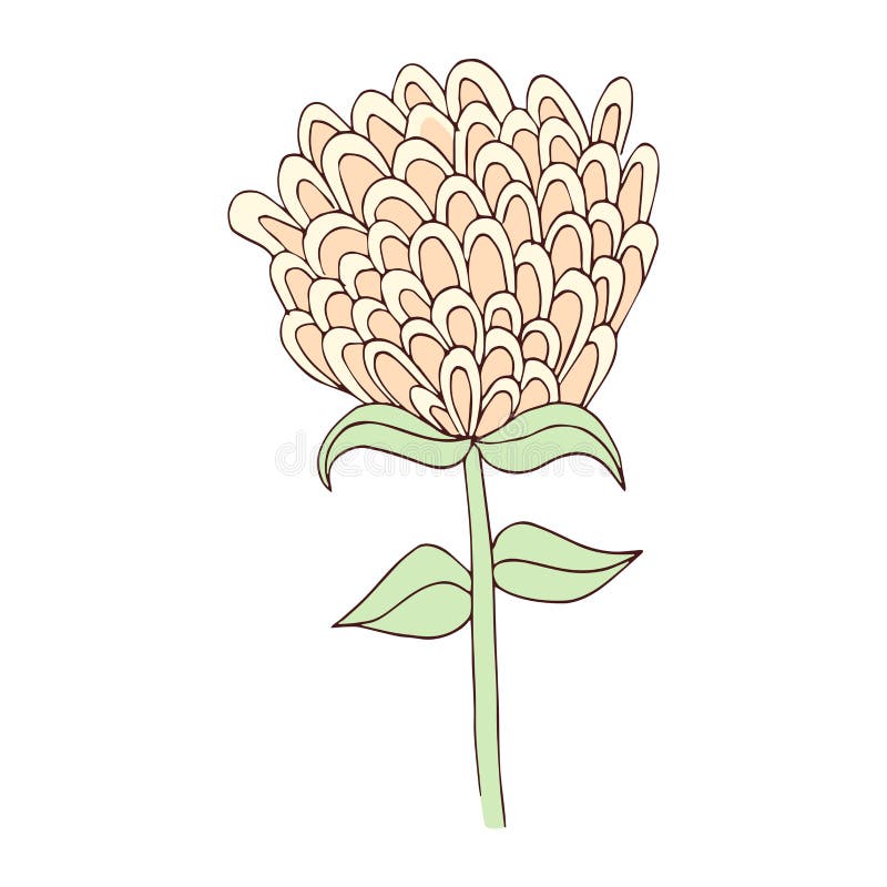 Isolated Sketch of a Flower Spring Time Vector Stock Vector ...