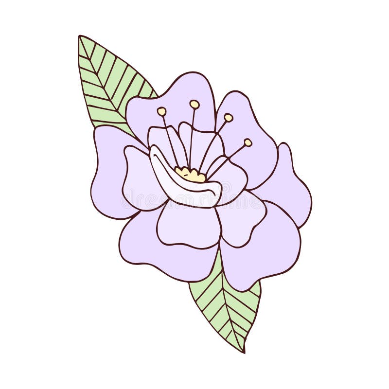 Isolated Sketch of a Flower Spring Time Vector Stock Vector ...