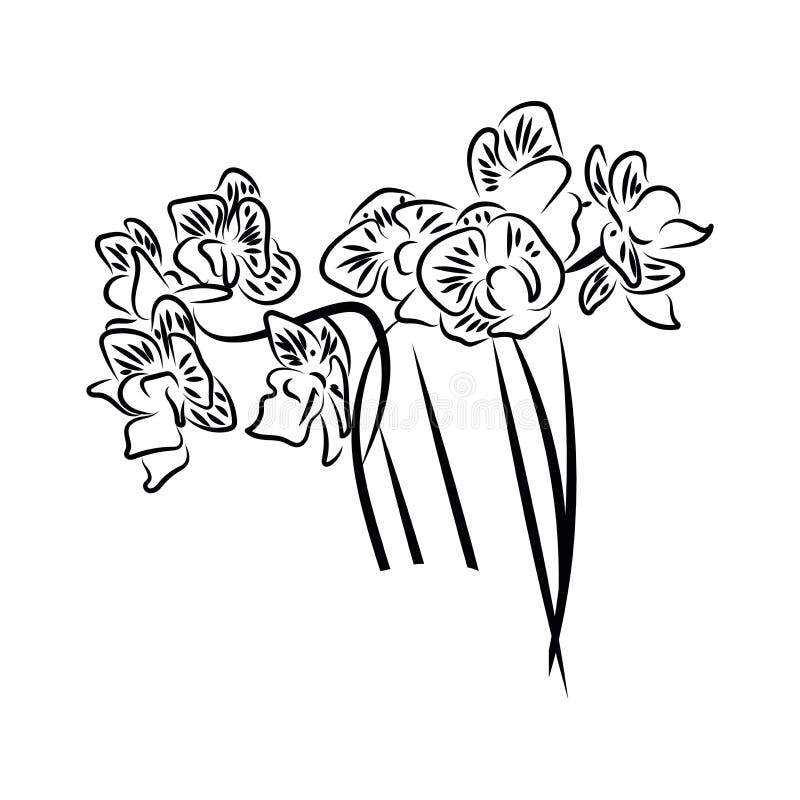 Isolated Sketch of a Group of Flowers Vector Stock Vector ...