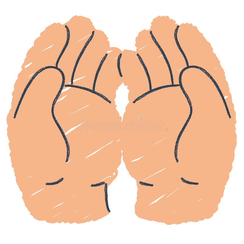 Isolated Sketch of a Pair of Hands Vector Stock Vector - Illustration ...