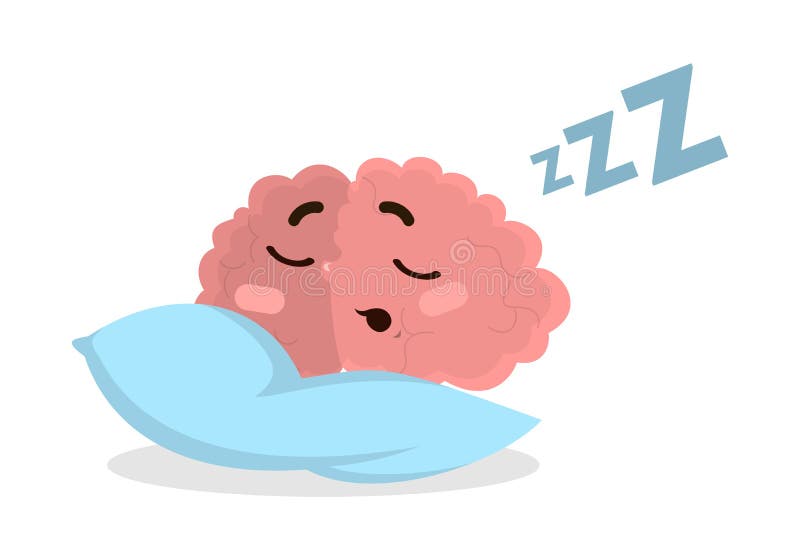Sleeping Brain, Brain Collection Stock Vector - Illustration of ...