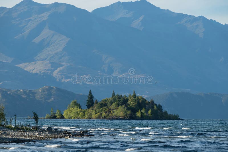 An Isolated Small Island, Ruby Island, on Lake Wanaka Filled with Dense ...