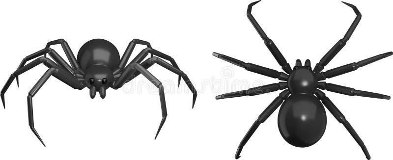 Isolated Spider Top and Front View. 3d Spider Stock Vector ...