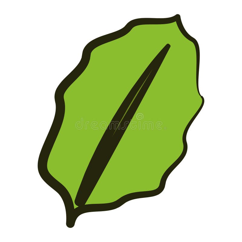 Spinach Leaf Icon stock vector. Illustration of healthy - 296705344