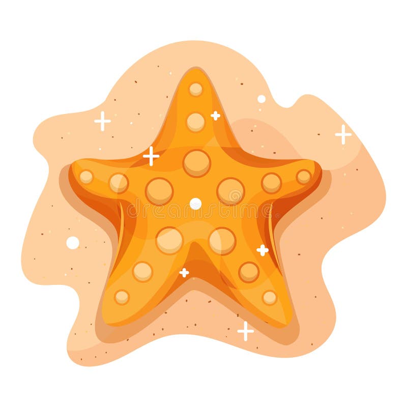 Isolated Sea Star Draw Vector Illustration Stock Vector - Illustration ...