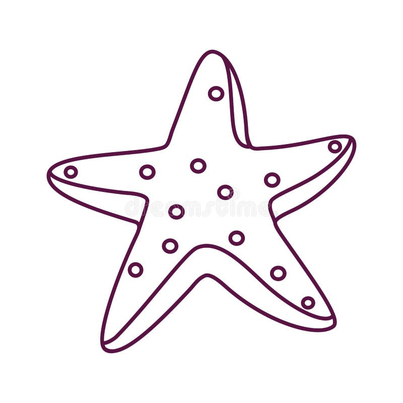 Isolated Star Sea Draw Beach Vector Illustration Stock Vector ...