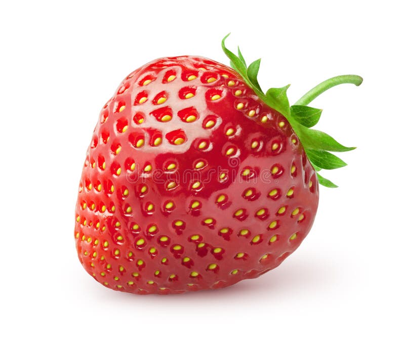 Isolated Strawberry Single Strawberry Fruit Isolated On White