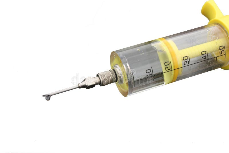 Snake stock image. Image of wildlife, poison, venom, antivenom - 32564469