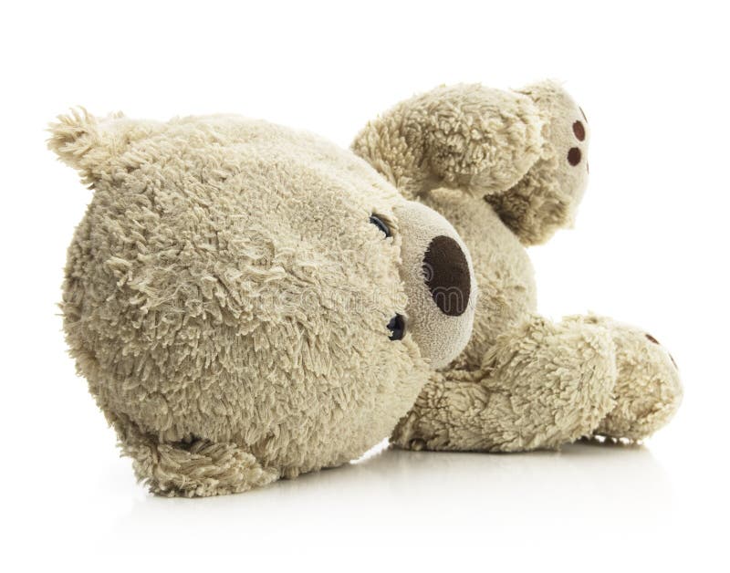 437 Side View Teddy Bear Stock Photos - Free & Royalty-Free Stock ...