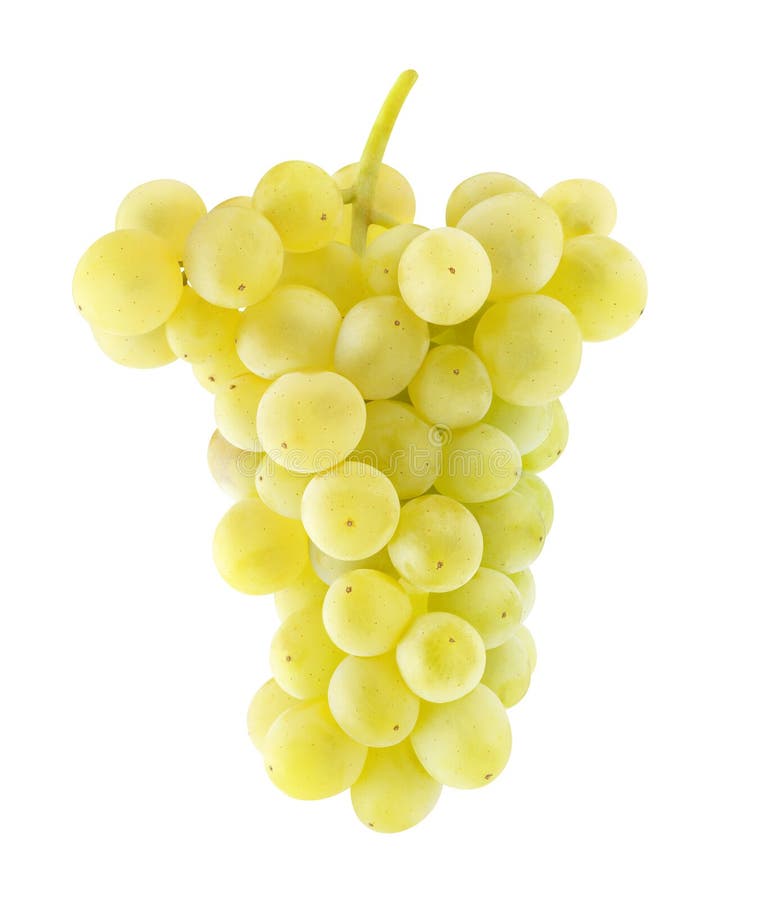 683 Isolated Hanging Grapes Stock Photos - Free & Royalty-Free Stock ...