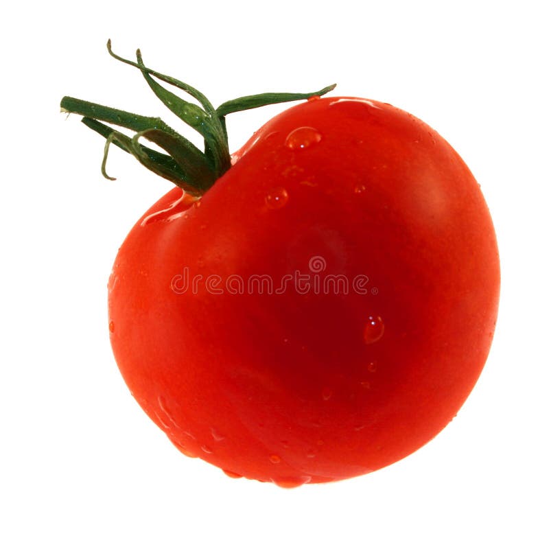 Isolated Tomato stock image. Image of tangy, vegetable - 141365