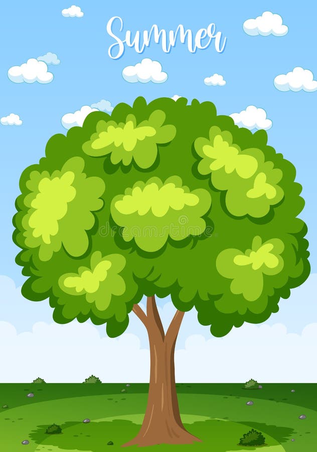 Isolated Tree in Cartoon Style with Summer Word Stock Vector ...