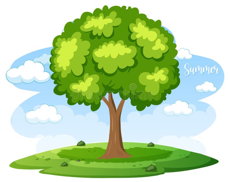 Isolated Tree in Cartoon Style with Summer Word Stock Vector ...