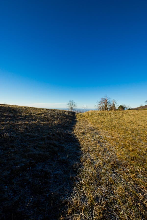 Isolated Tree in a Cold December Morning Stock Image - Image of morning ...
