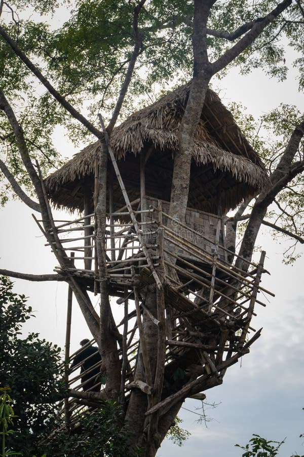 Isolated Tree House at Tree Top with Flat Sky at Morning Stock Image ...