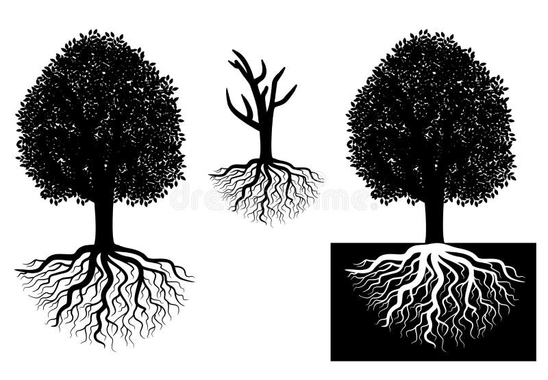 Tree roots silhouette stock vector. Illustration of natural - 24144210