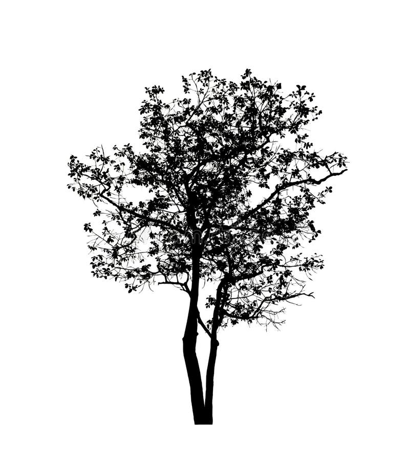 Bent Tree Silhouette Stock Illustrations – 245 Bent Tree Silhouette ...