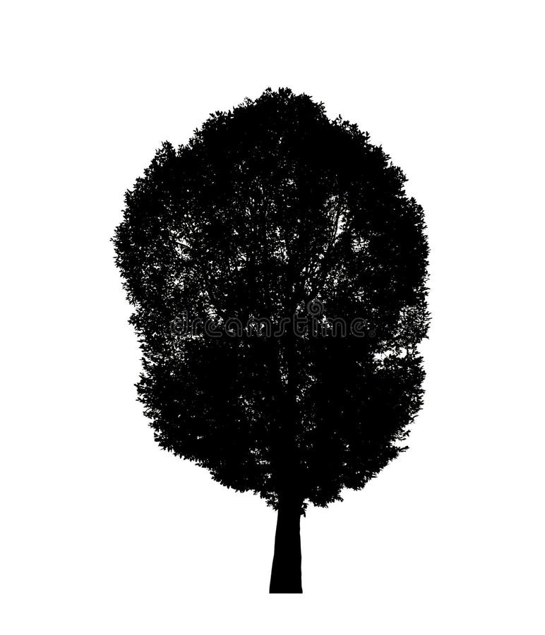 Bent Tree Silhouette Stock Illustrations – 245 Bent Tree Silhouette ...