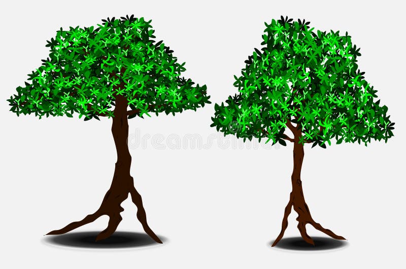 Isolated Tree Vector,Collection Beautiful Tree Realistic on Gray ...