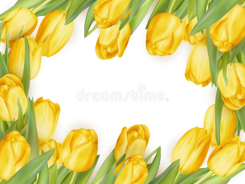 Tulip frame stock illustration. Illustration of background - 10239234